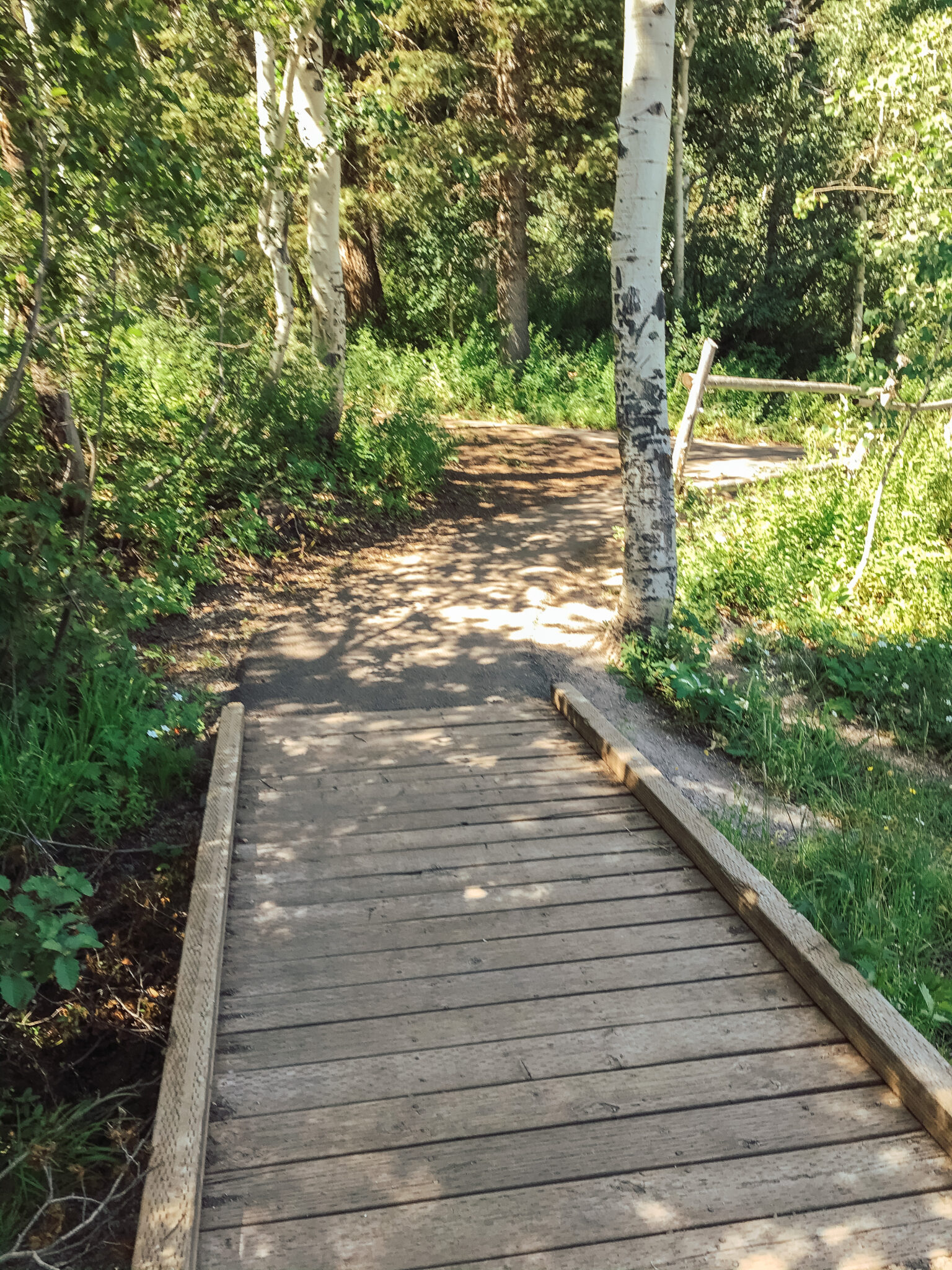 Camping at Payson Lakes - Big World, Small Adventures